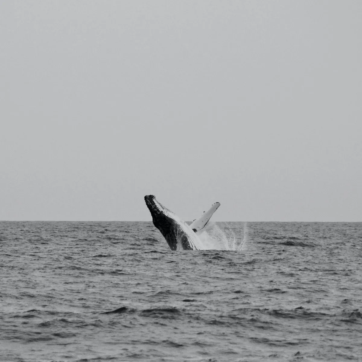 Top 10 Things To Know About The Maldives Before You Visit | Cheap ...